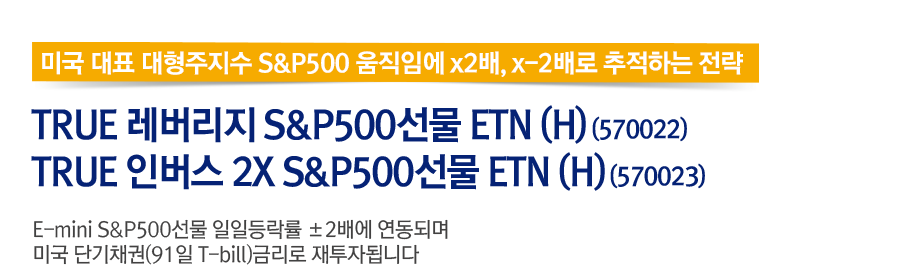 TRUE ETN, The Perfect Solution